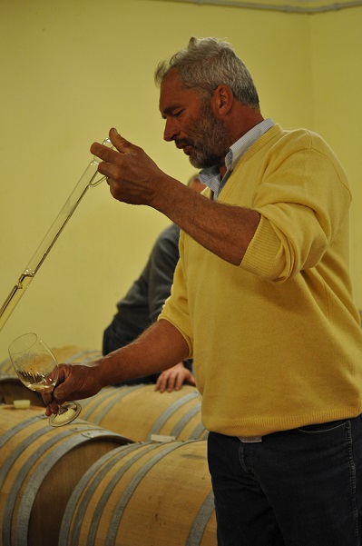 Miani Redux – Calvari: 1995-2008 and a Preview of the 2009s (Jun 2010 ...