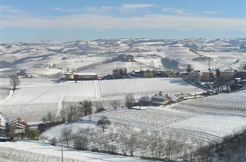 Elio Altare: A Retrospective of Larigi 1985-2008 (May 2009) | Vinous ...