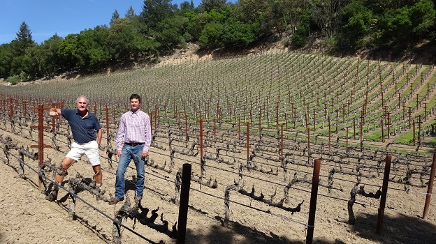 Forman: Four Decades of Cabernet Sauvignon 1985-2012 (Jul 2015 ...