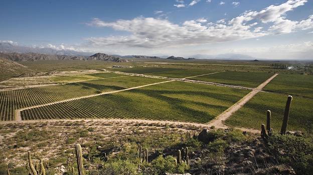 Argentina: The Cool Years (Mar 2016) | Vinous - Explore All Things Wine