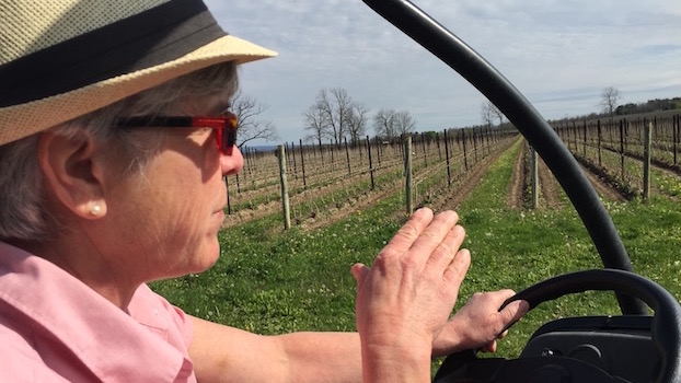 Finger Lakes Rising (Jul 2016) | Vinous - Explore All Things Wine