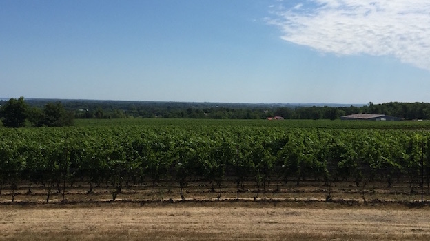 Tawse Chardonnay Quarry Road: 2006-2013 (Aug 2016) | Vinous - Explore ...