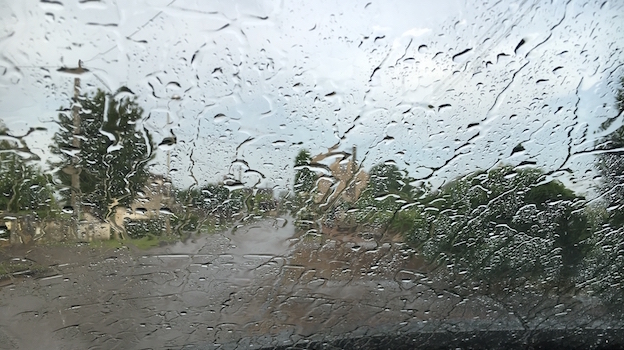 The 2015 White Burgundies: A Year of Sunshine (Sep 2016) | Vinous ...