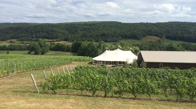Canada’s Maritime Provinces: A New Wine Frontier (Oct 2016) | Vinous ...