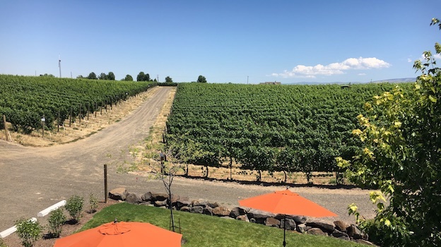 Focus on Washington: Hot Times in the Desert (Nov 2016) | Vinous ...