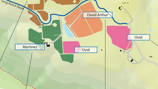 Ovid: The First Nine Years 2005-2013 (Feb 2017) | Vinous - Explore All ...