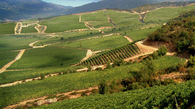 New Releases from Chile: The Tail Wags the Dog (Feb 2017) | Vinous ...