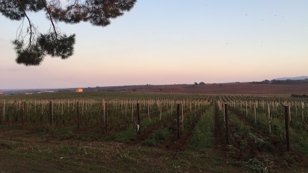 The Wines of Basilicata: Paradise Lost and Regained (Apr 2017) | Vinous ...