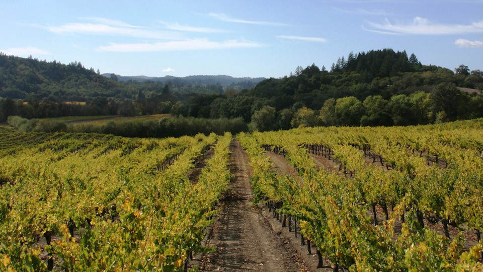 Verticals of Ramey’s Hyde & Ritchie Vineyard Chardonnays (Jul 2017 ...