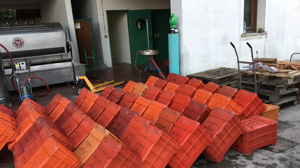 Miani Ribolla Gialla Pettarin: 2000 – 2015 (Dec 2017) | Vinous ...