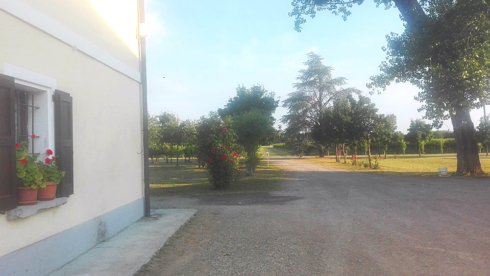 Emilia-Romagna New Releases: Something For Everyone (Jan 2018) | Vinous ...