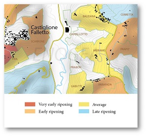 Book Excerpt: Barolo, MGA Vol. II, The Birth of an Appellation (Feb ...