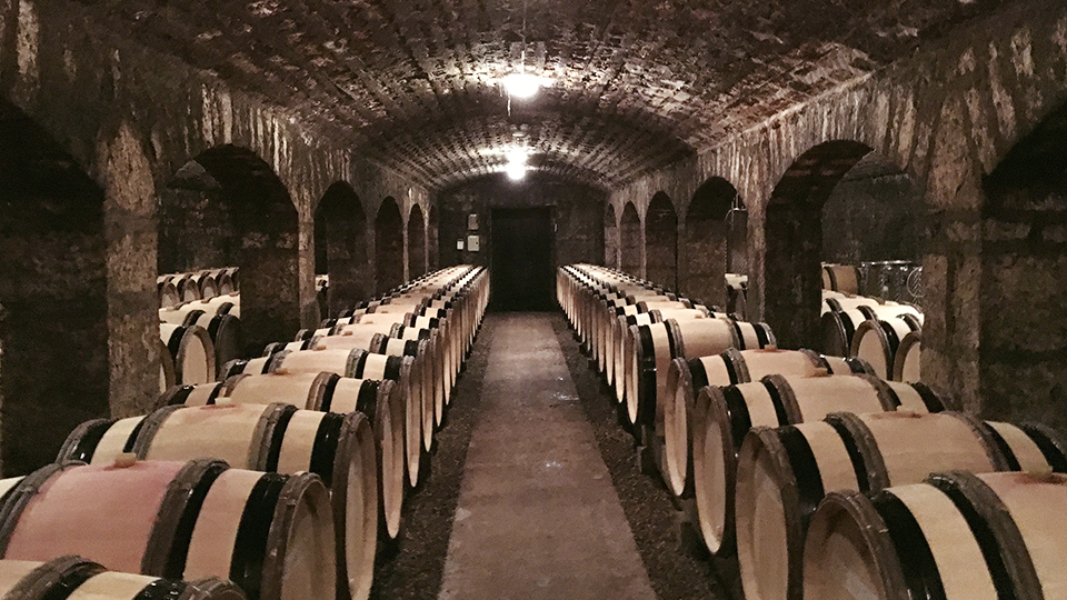 Domaine Leroy: The 2015s From Bottle (Mar 2018) | Vinous - Explore All ...
