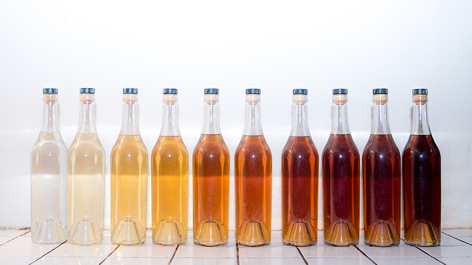 Exploring the World of Armagnac (Jul 2018) | Vinous - Explore All ...