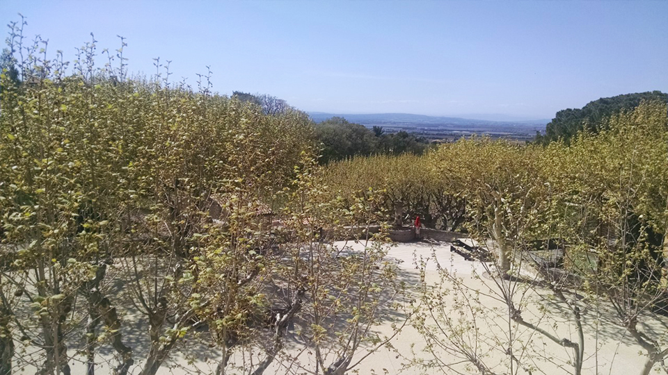 2016 Gigondas – A Slam Dunk (Aug 2018) | Vinous - Explore All Things Wine