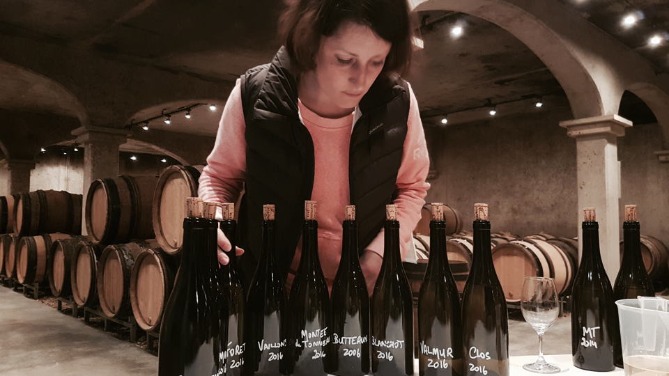 Mirror Image: 2016 & 2017 Chablis (Aug 2018) | Vinous - Explore All ...