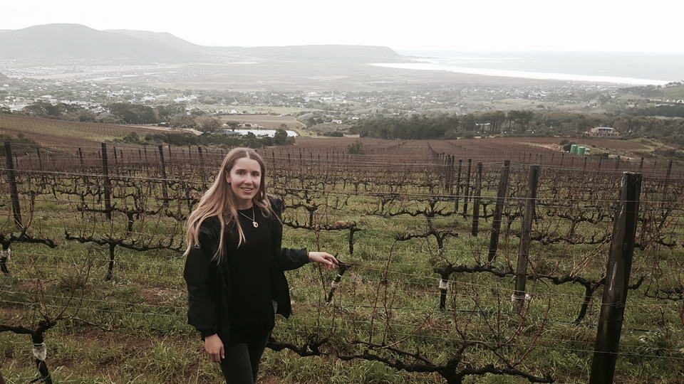 Some Great Reward: South Africa (Aug 2018) | Vinous - Explore All ...