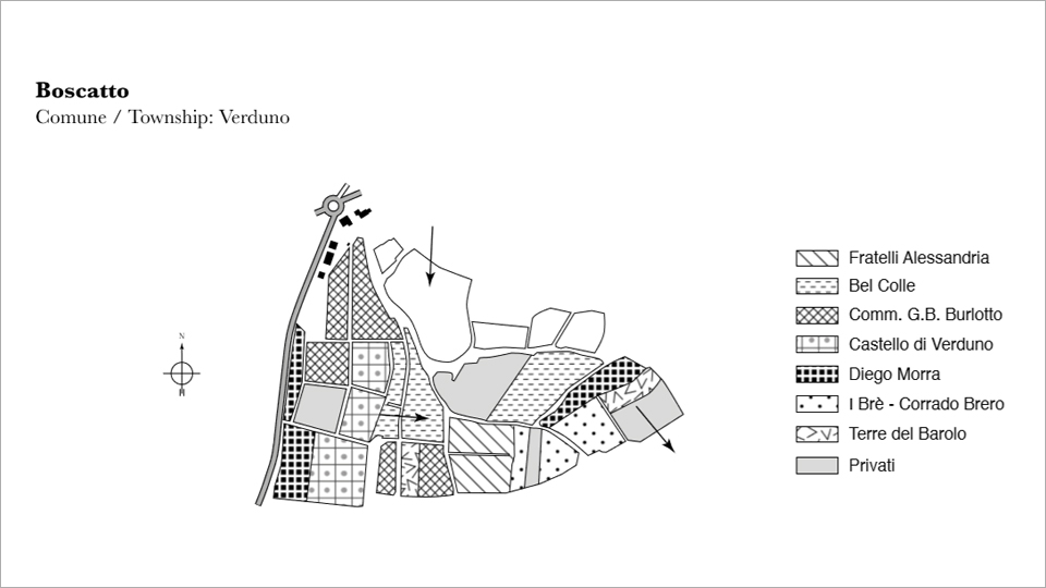 Book Excerpt - Barolo MGA Vol. I, 2nd Edition (Sep 2018) | Vinous ...