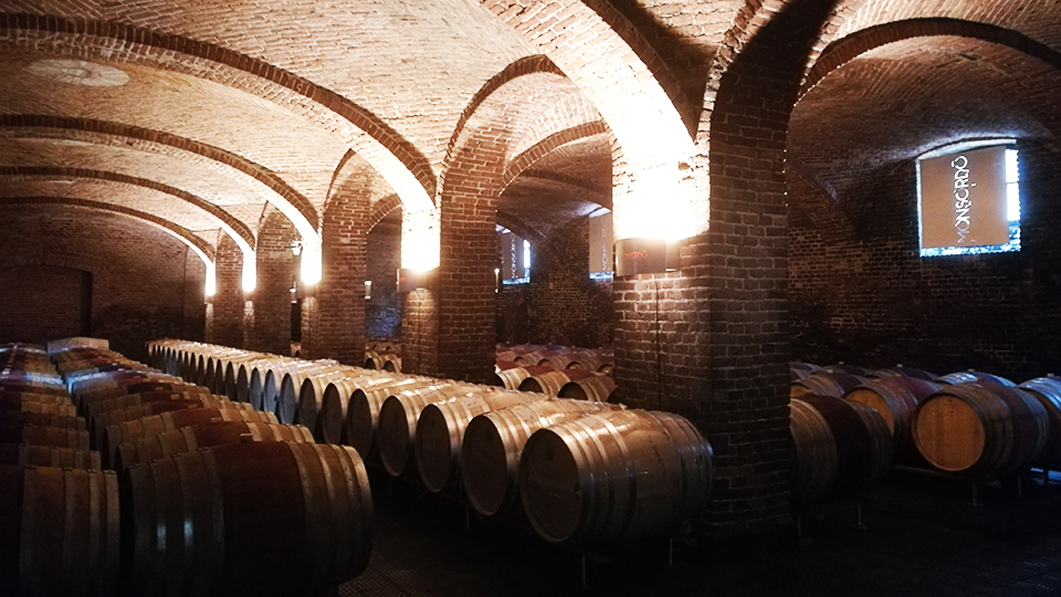 Ceretto Barbaresco Asili: 1974-2014 (Dec 2018) | Vinous - Explore All ...