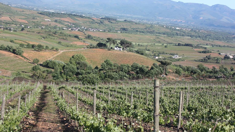 Spain’s Northern Regions Keep It Cool (Mar 2019) | Vinous - Explore All ...