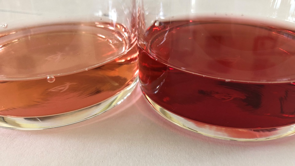 Think Pink: Italy’s Lively 2018 Rosatos (May 2019) | Vinous - Explore ...