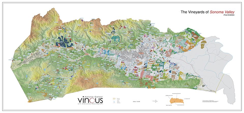 Best New Releases from Sonoma and Beyond (May 2019) | Vinous - Explore ...